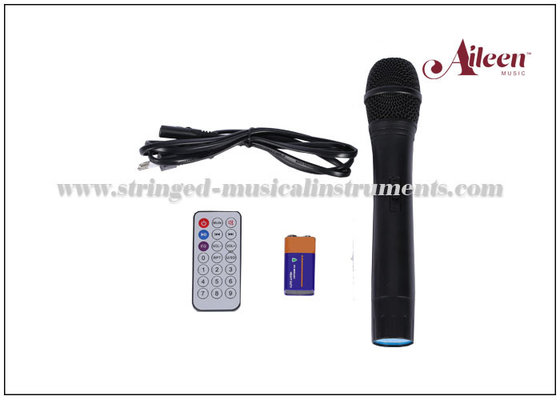 Professional FM radio with Recording / Bluetooth / USB / SD Card connector mini amplifier