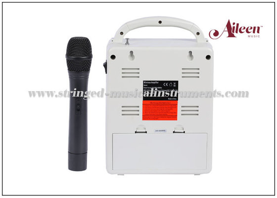 Professional FM radio with Recording / Bluetooth / USB / SD Card connector mini amplifier