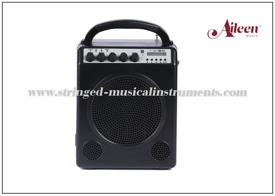 Professional FM radio with Recording / Bluetooth / USB / SD Card connector mini amplifier