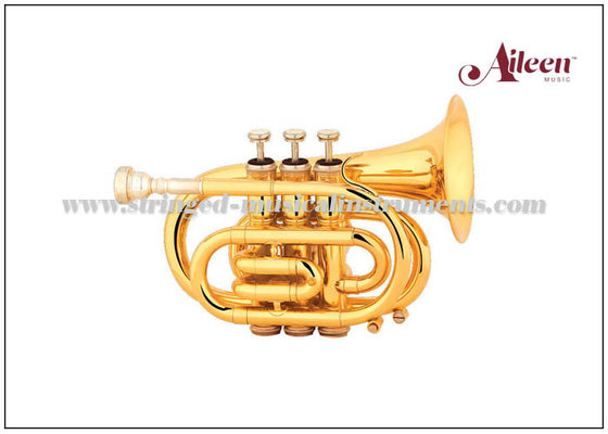 Golden Lacquered Bb Key Pocket Stainless Steel Yellow Brass Trumpet For Student
