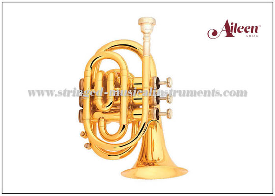 Golden Lacquered Bb Key Pocket Stainless Steel Yellow Brass Trumpet For Student