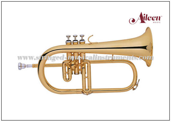 Y style Professional Flugel Brass lacquer With Premium Case (FG8612G)