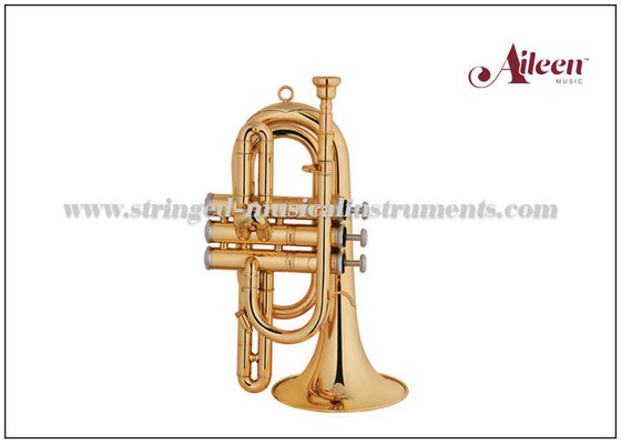 Lacquered Brass Spainish style China Brass Cornet ( CN8713G) Brass Music Instruments