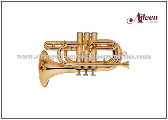 Lacquered Brass Spainish style China Brass Cornet ( CN8713G) Brass Music Instruments