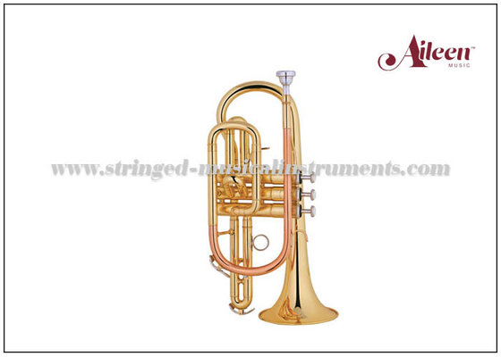 Brass Musical Instruments , Y style Brass Lacquer Bb Key Stainless steel China Cornet (CN8711G)