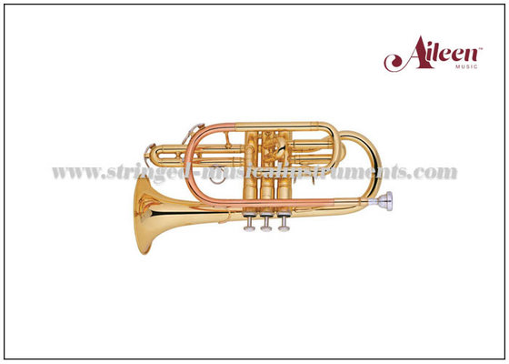 Brass Musical Instruments , Y style Brass Lacquer Bb Key Stainless steel China Cornet (CN8711G)