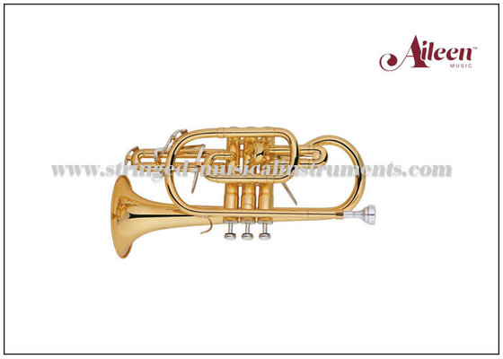 Brass lacquered 2pcs reinforced trigger China Cornet with Premium case (CN8712G)