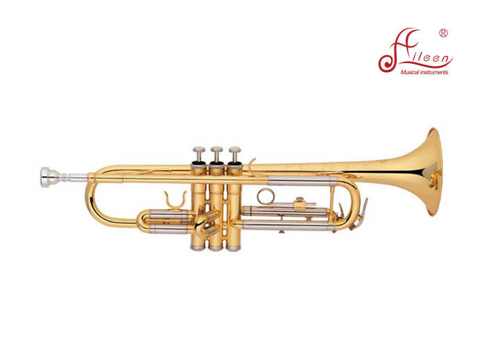 Golden Lacquered Brass Wind Instruments , Mini Pocket Trumpet With 7C Mouthpiece 11.8MM Bore