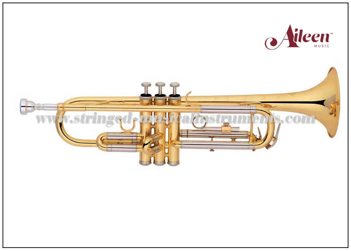 Brass Student Model Trumpet Music Instrument Bb Key Nickel Plated Trumpet  With Premium case