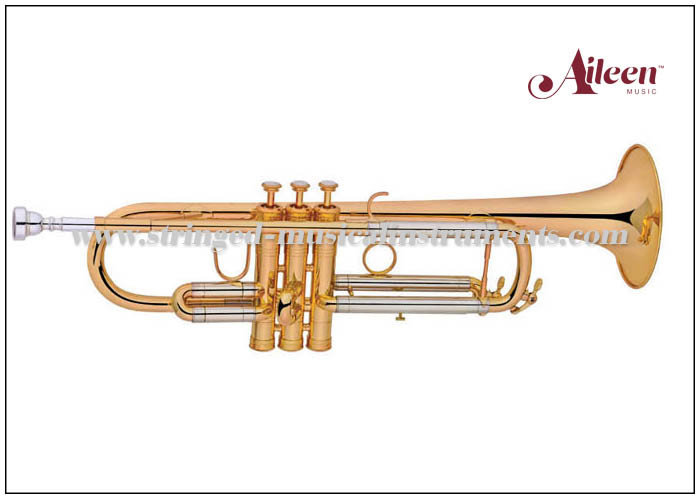 Golden Lacquered Brass Musical Instruments , Trumpet With 7C Mouthpiece 11.7 mm Bore
