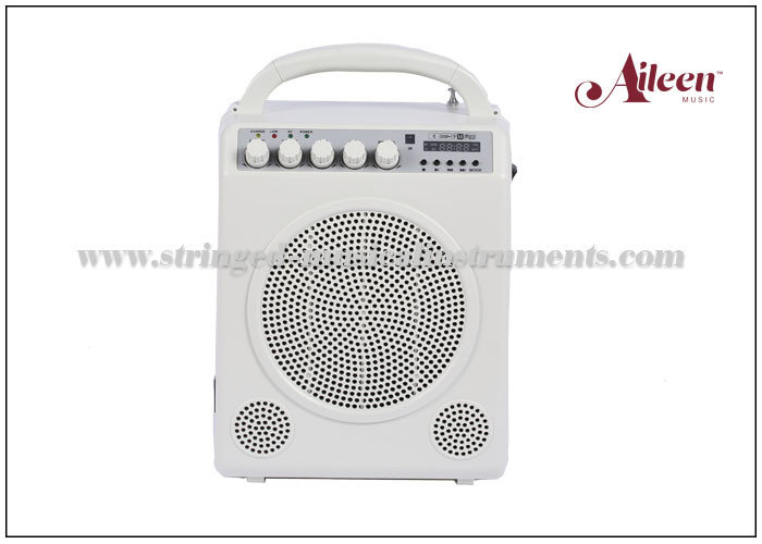 Professional FM radio with Recording / Bluetooth / USB / SD Card connector mini amplifier