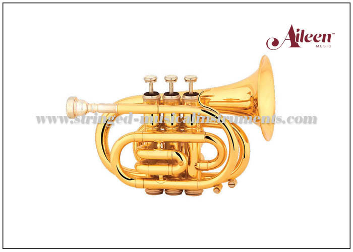 Golden Lacquered Bb Key Pocket Stainless Steel Yellow Brass Trumpet For Student