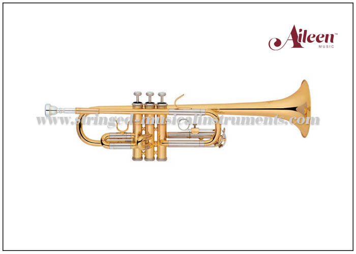 C Key Professional Brass Band Instruments 123mm Bell / 11.8mm Bore ISO 9001