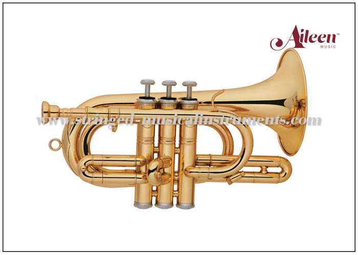 Lacquered Brass Spainish style China Brass Cornet ( CN8713G) Brass Music Instruments
