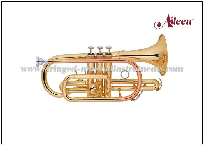 Brass Musical Instruments , Y style Brass Lacquer Bb Key Stainless steel China Cornet (CN8711G)
