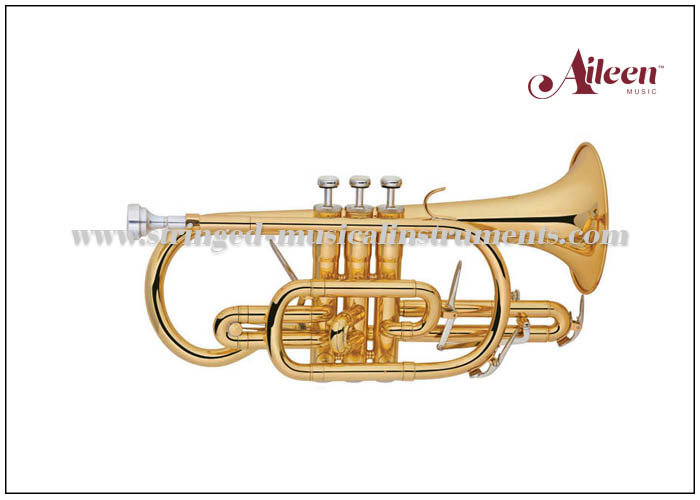 Brass lacquered 2pcs reinforced trigger China Cornet with Premium case (CN8712G)