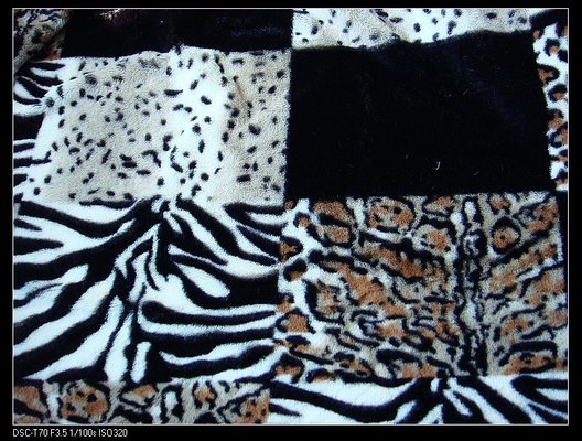 buy animal coral fleece fabric