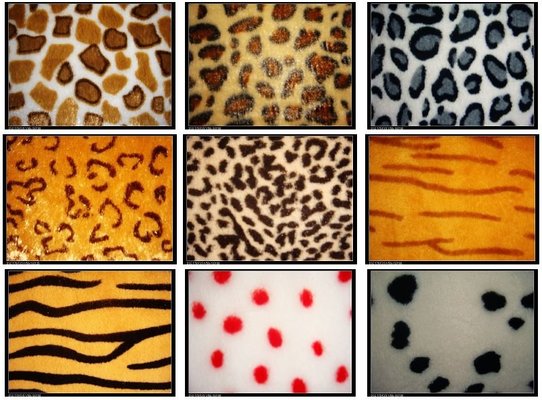 buy animal coral fleece fabric