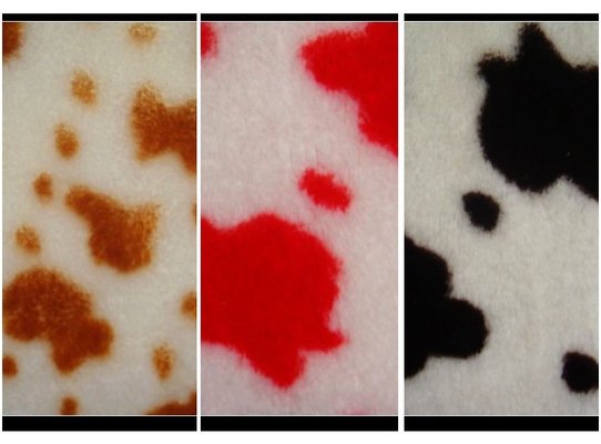 buy animal coral fleece fabric