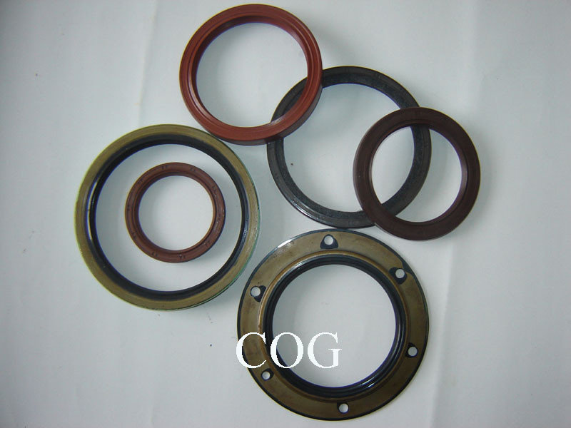 Oil Seals for Axletree,Washer,Mortorcycle,,VITION OIL SEALS,NBR OIL SEALS  o ring manufacture factory in China