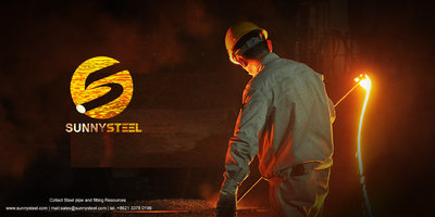Sunny Steel Enterprise Ltd.