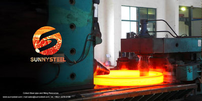Sunny Steel Enterprise Ltd.