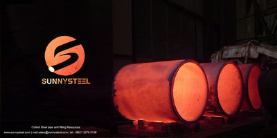 Sunny Steel Enterprise Ltd.