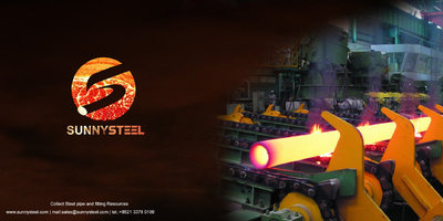 Sunny Steel Enterprise Ltd.