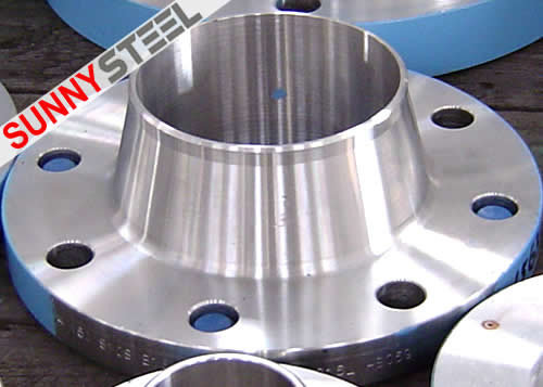 Stainless Steel Flanges