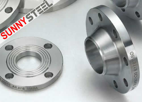 Stainless Steel Flanges