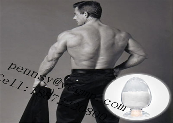 No Side Effect Bodybuilding Supplements Nandrolone Base White Fine Powder  434-22-0