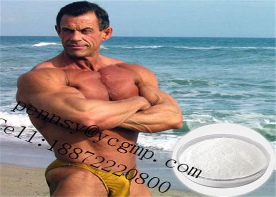 Nandrolone Propionate 7207-92-3 Steroid Powder for Body Building