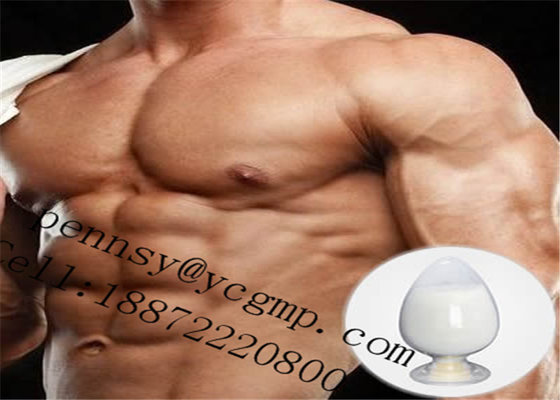 (CAS: 153-00-4) Bodybuilding Steroids Powder Mete-Nolone/Primo-Bolan