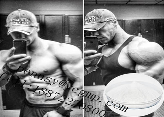 Injectable Anabolic Steroids Methenolone Enanthate Primonabol 100