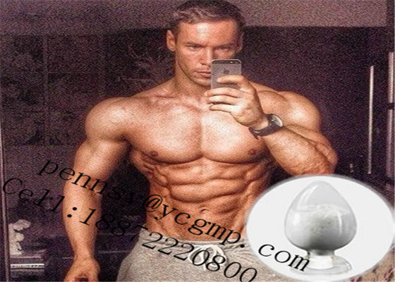 Injectable Anabolic Steroids Methenolone Enanthate Primonabol 100