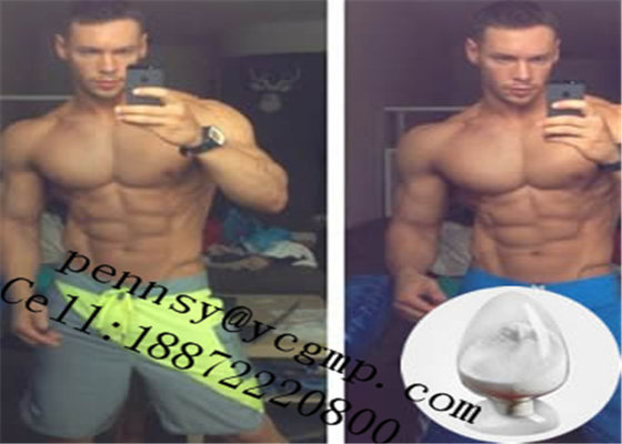 Injectable Anabolic Steroids Methenolone Enanthate Primonabol 100