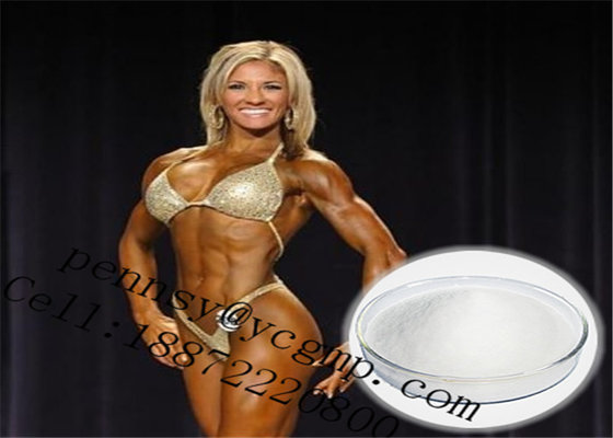 Powderful Testosterone Base Powder Test Base For Muscle Gaining CAS 58-22-0