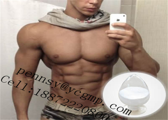 Powderful Testosterone Base Powder Test Base For Muscle Gaining CAS 58-22-0