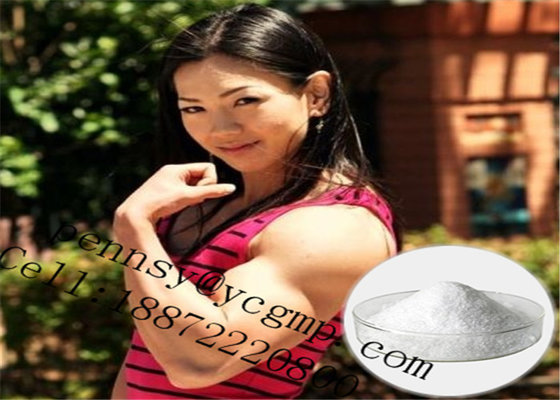 Powderful Testosterone Base Powder Test Base For Muscle Gaining CAS 58-22-0