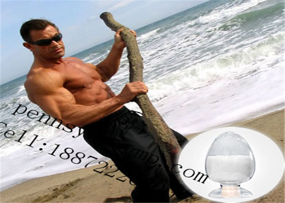 Muscle Builder Steroids Testosterone Enanthate CAS:315-37-7