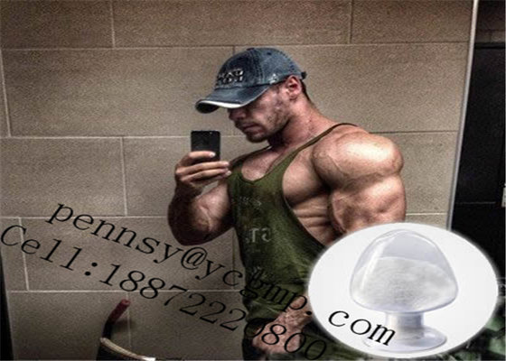 Hot sale! Testosterone Acetate CAS:1045-69-8 Steroid hormone for muscle building