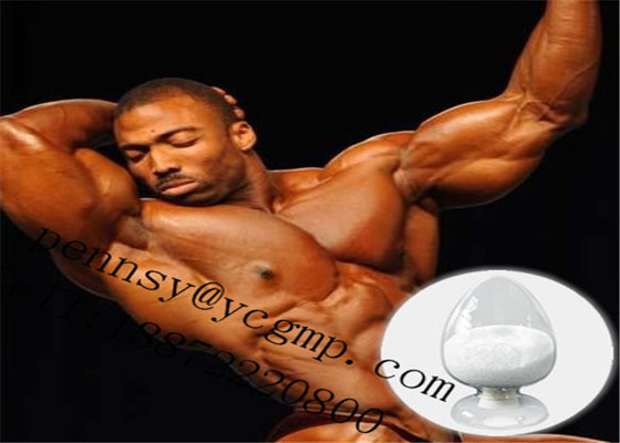 99% Raw Andronate Anabolic Steroids Powder 57-85-2