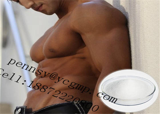 Factory Direct Supply  Muscle Gain Steroids 58-20-8 Testosterone Cypionate/Test Cyp
