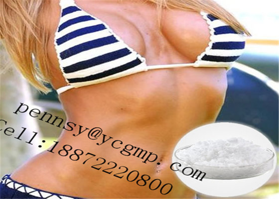 Factory Supply 99% Steroid Hormone Testosterone Cypionate 58-20-8 for Muscle building