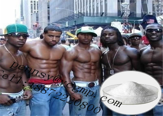 Factory Supply 99% Steroid Hormone Testosterone Cypionate 58-20-8 for Muscle building