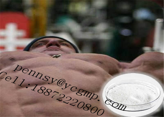 99% Purity Steroids Testosterone Phenylpropionate for Muscle Growth 1255-49-8