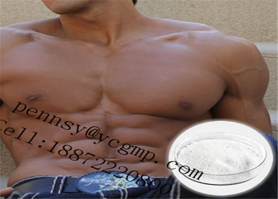 Raw Powders Testosterone Sustanon250 with High Purity&Safe Packing