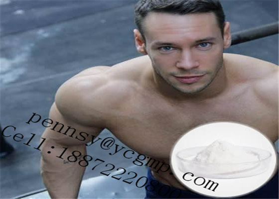 Raw Powders Testosterone Sustanon250 with High Purity&Safe Packing