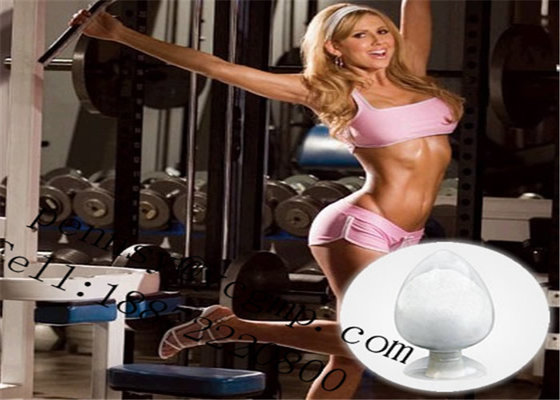 Raw Powders Testosterone Sustanon250 with High Purity&Safe Packing