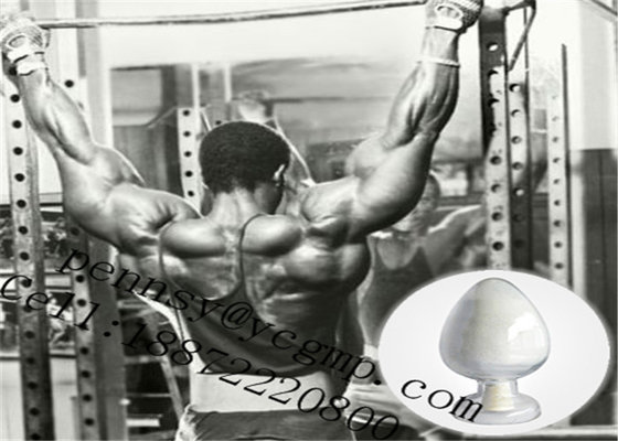 Powderful Testosterone Base Powder Test Base For Muscle Gaining CAS 58-22-0